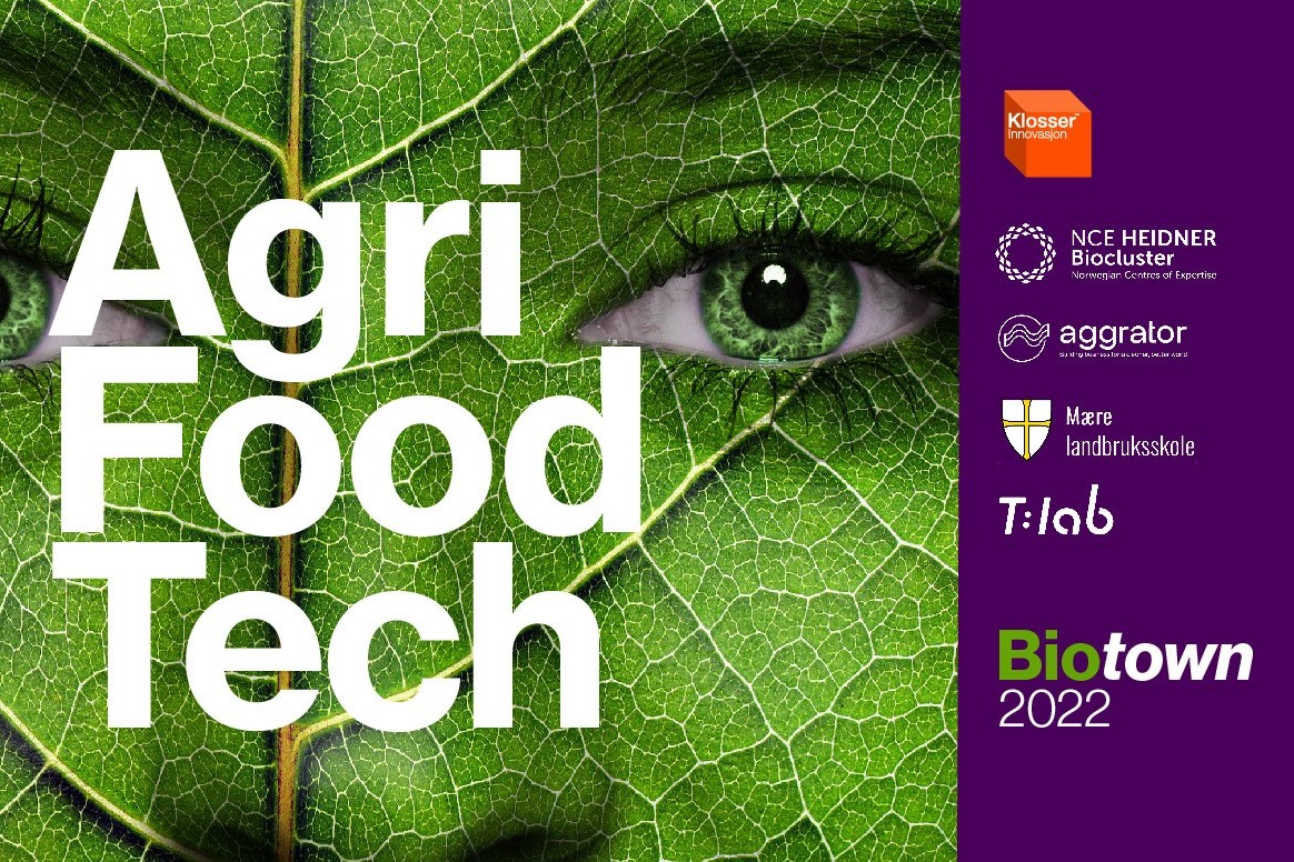 Aktuelt og arrangementer | Klosser